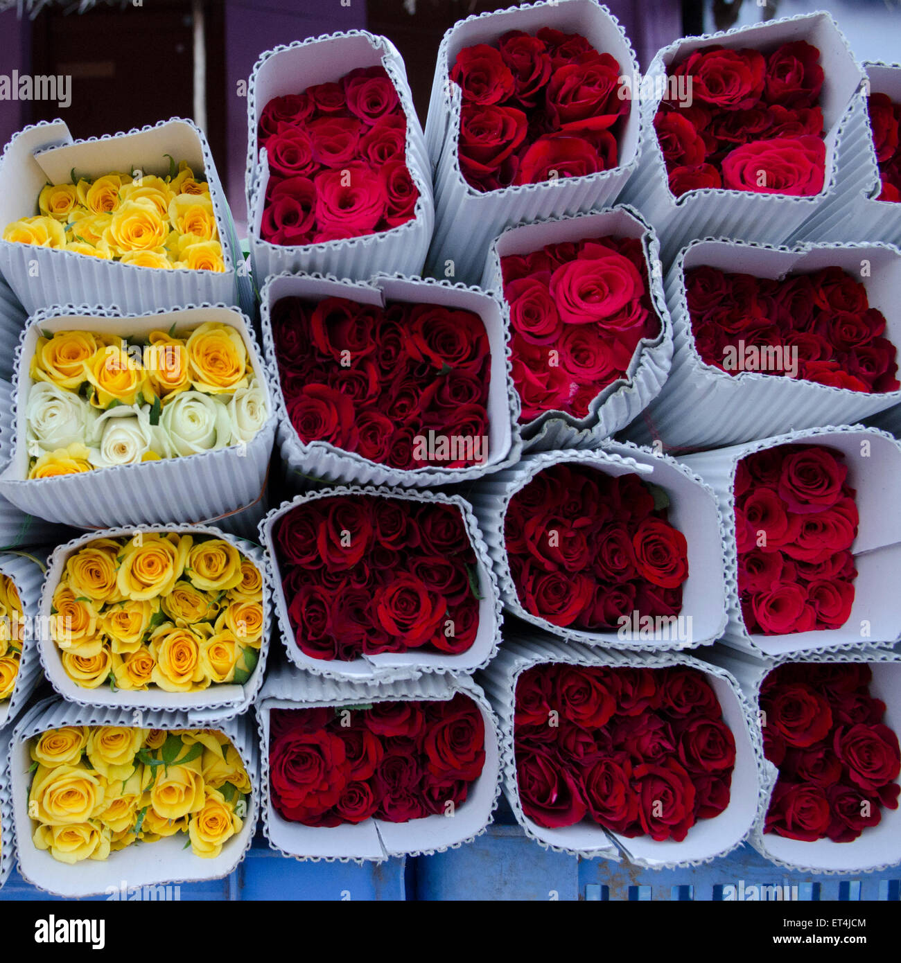 rose are packed and ready for transport from the market Stock Photo - Alamy
