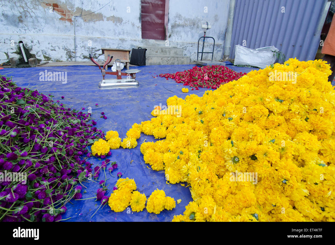two large piles of flowers with a weighing scale in the background at ...