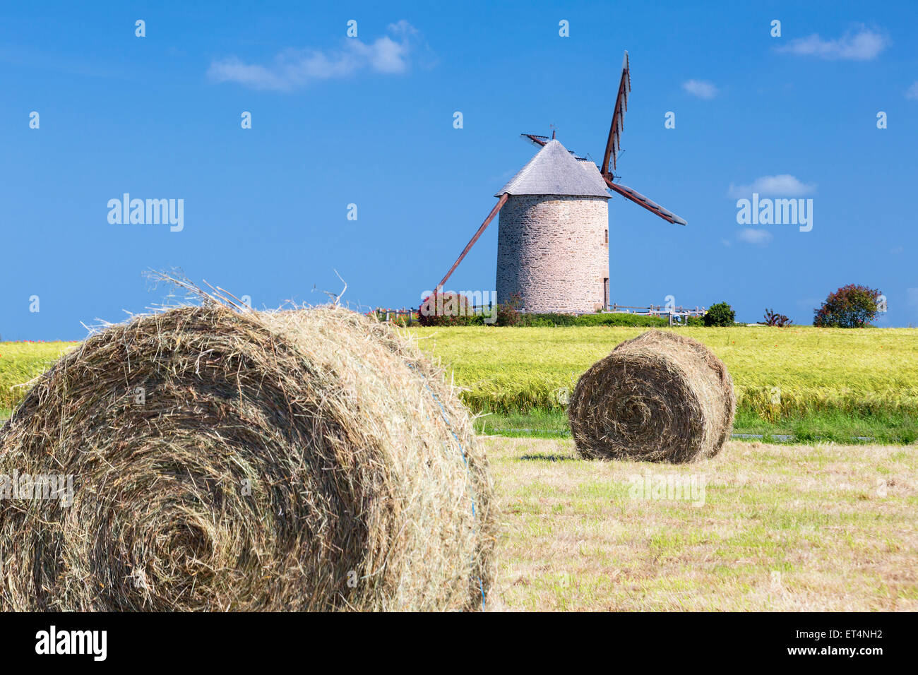 Windmill wheat field hi-res stock photography and images - Alamy