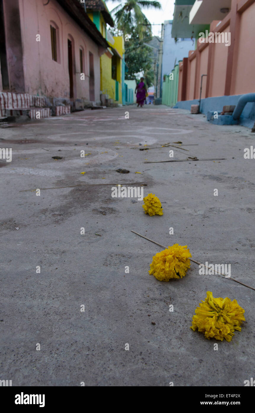 marrigolds left over after the Thovalai flower market lay in the street ...