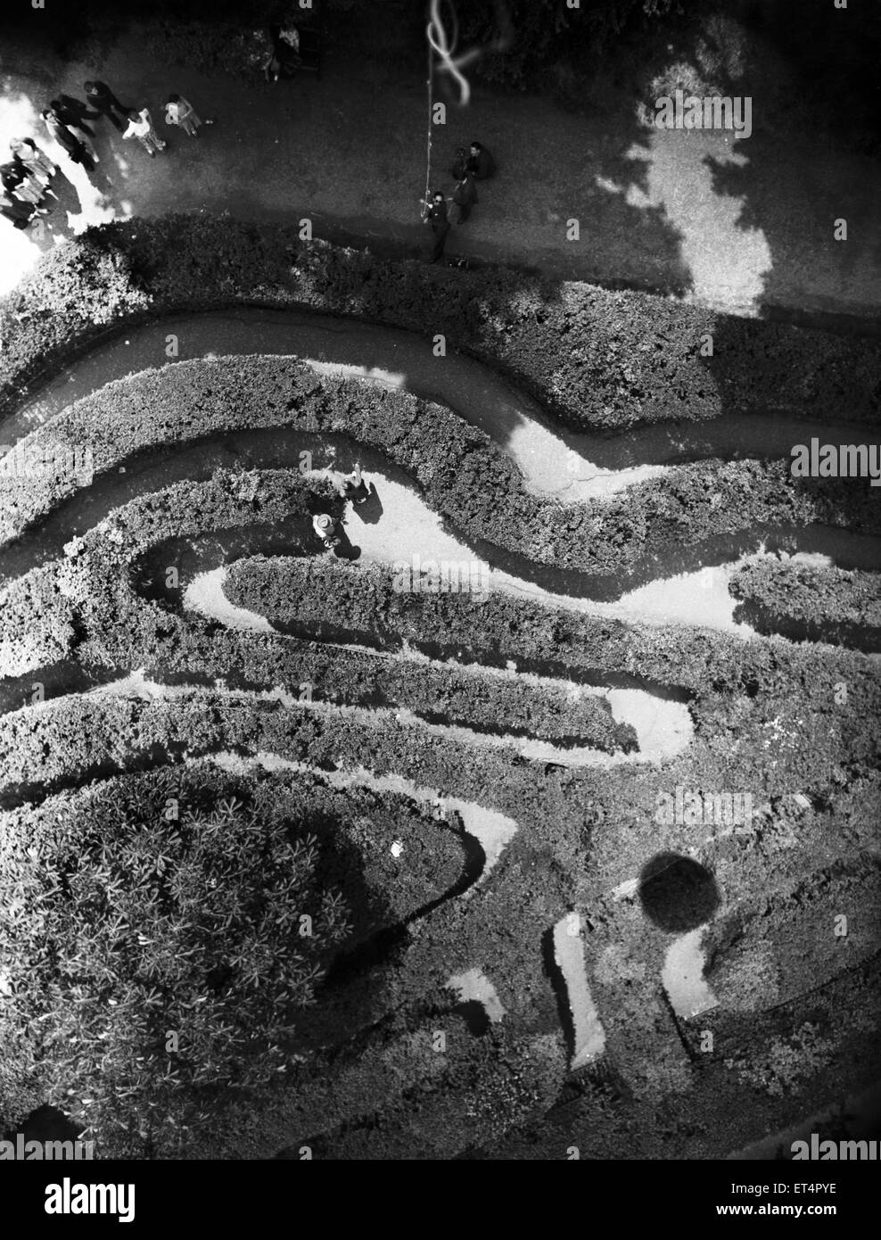 Hampton court palace maze hi-res stock photography and images - Alamy