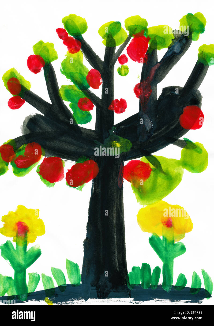 tree with apples, watercolor paint Stock Photo - Alamy
