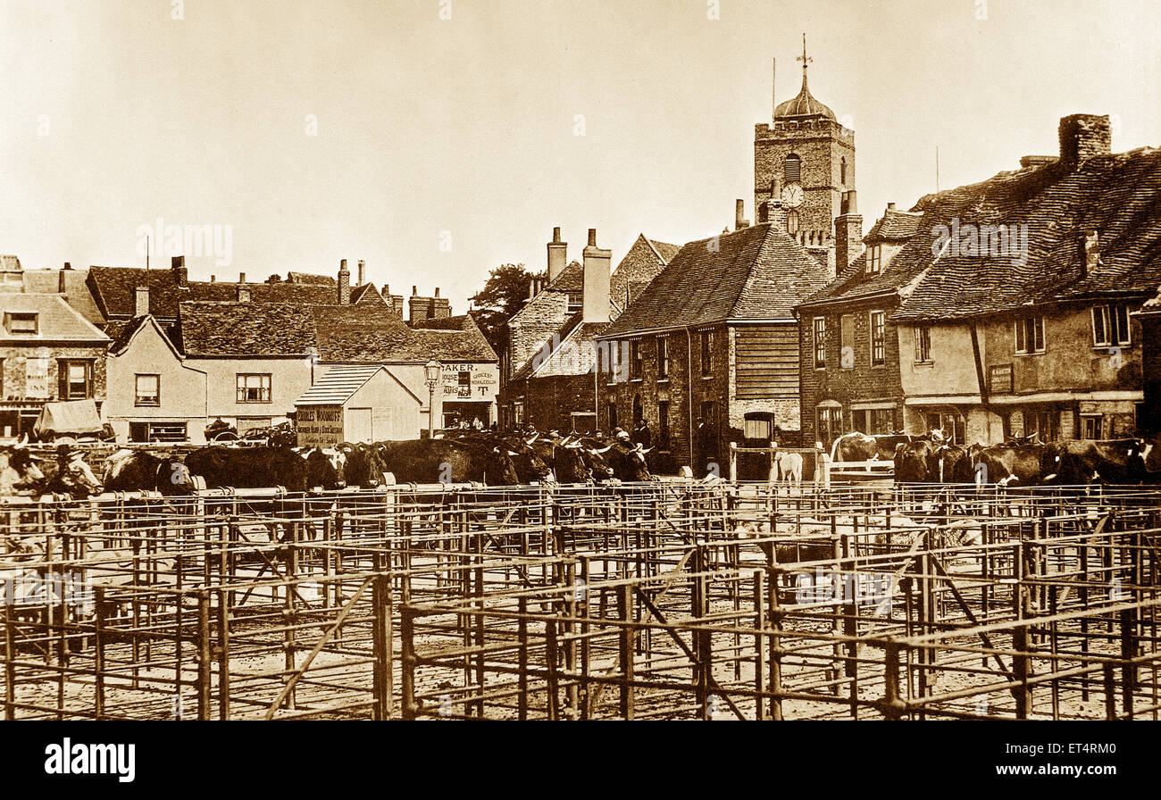 Sandwich Kent cattle market 1890's Stock Photo - Alamy