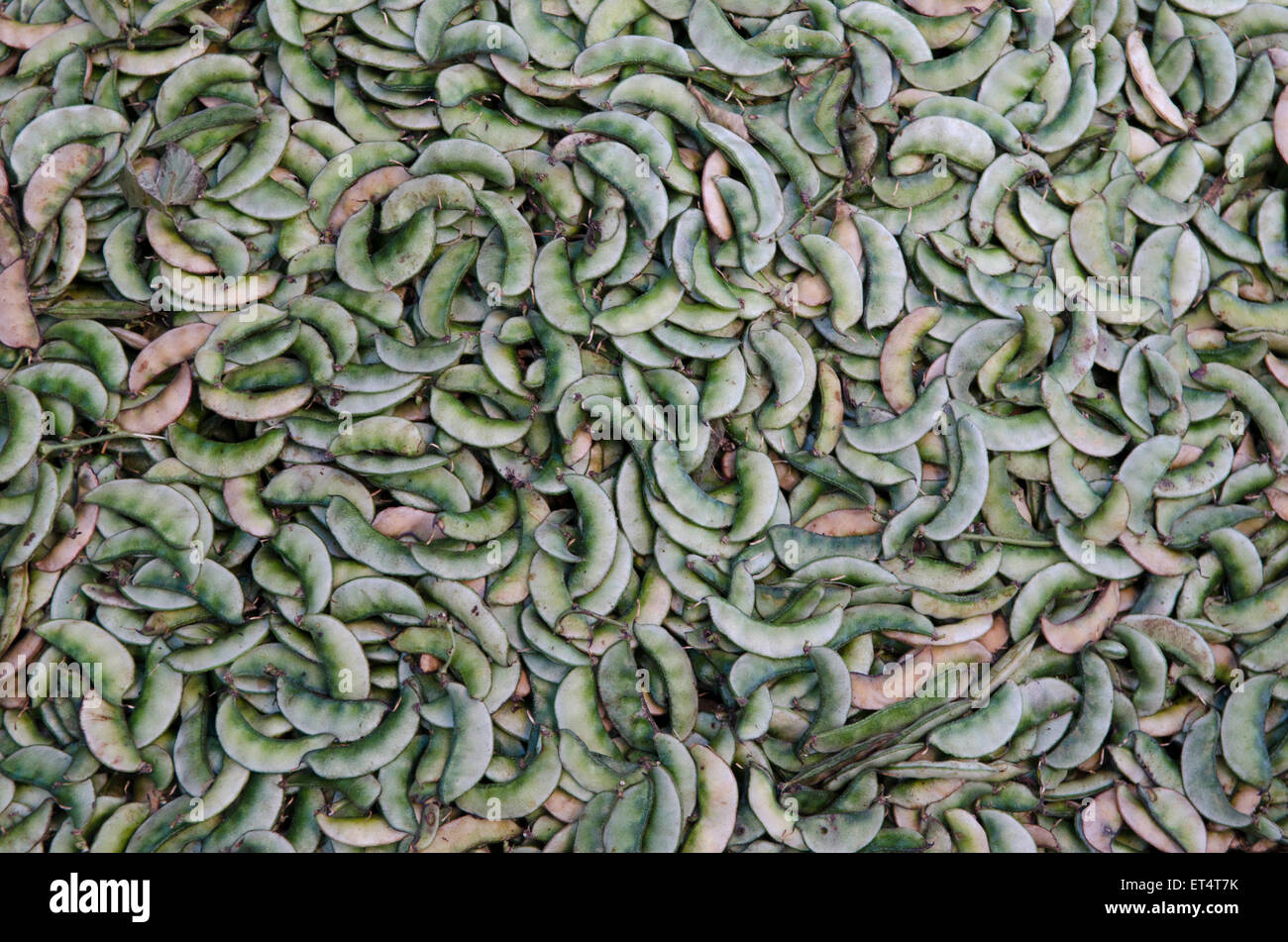 single shot of beans from a traditional fruit and veg market Stock ...