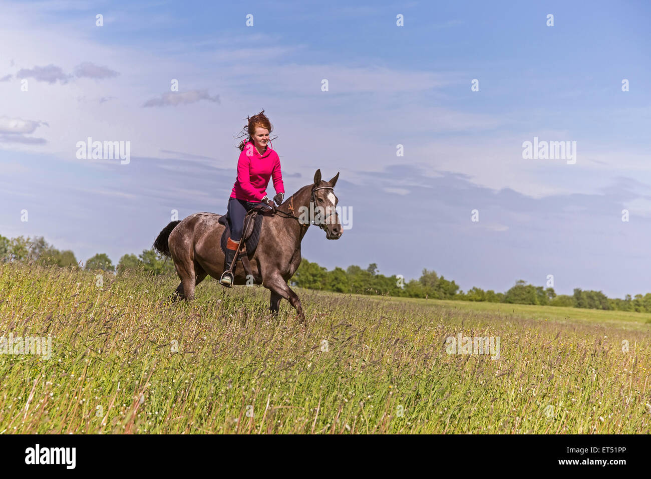 Redhead Girl Riding Horse High Resolution Stock Photography and Images ...