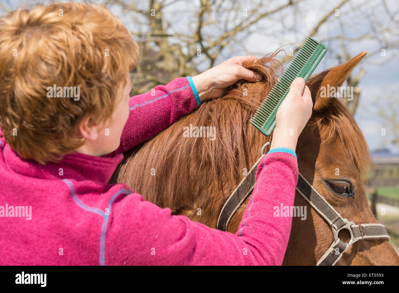 Mane comb hi-res stock photography and images - Alamy