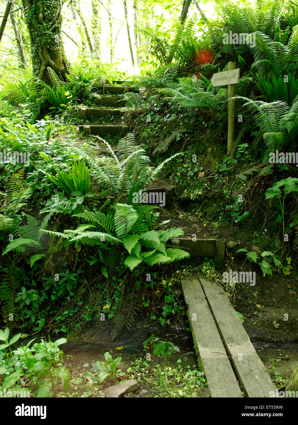 Permissive path hi-res stock photography and images - Alamy