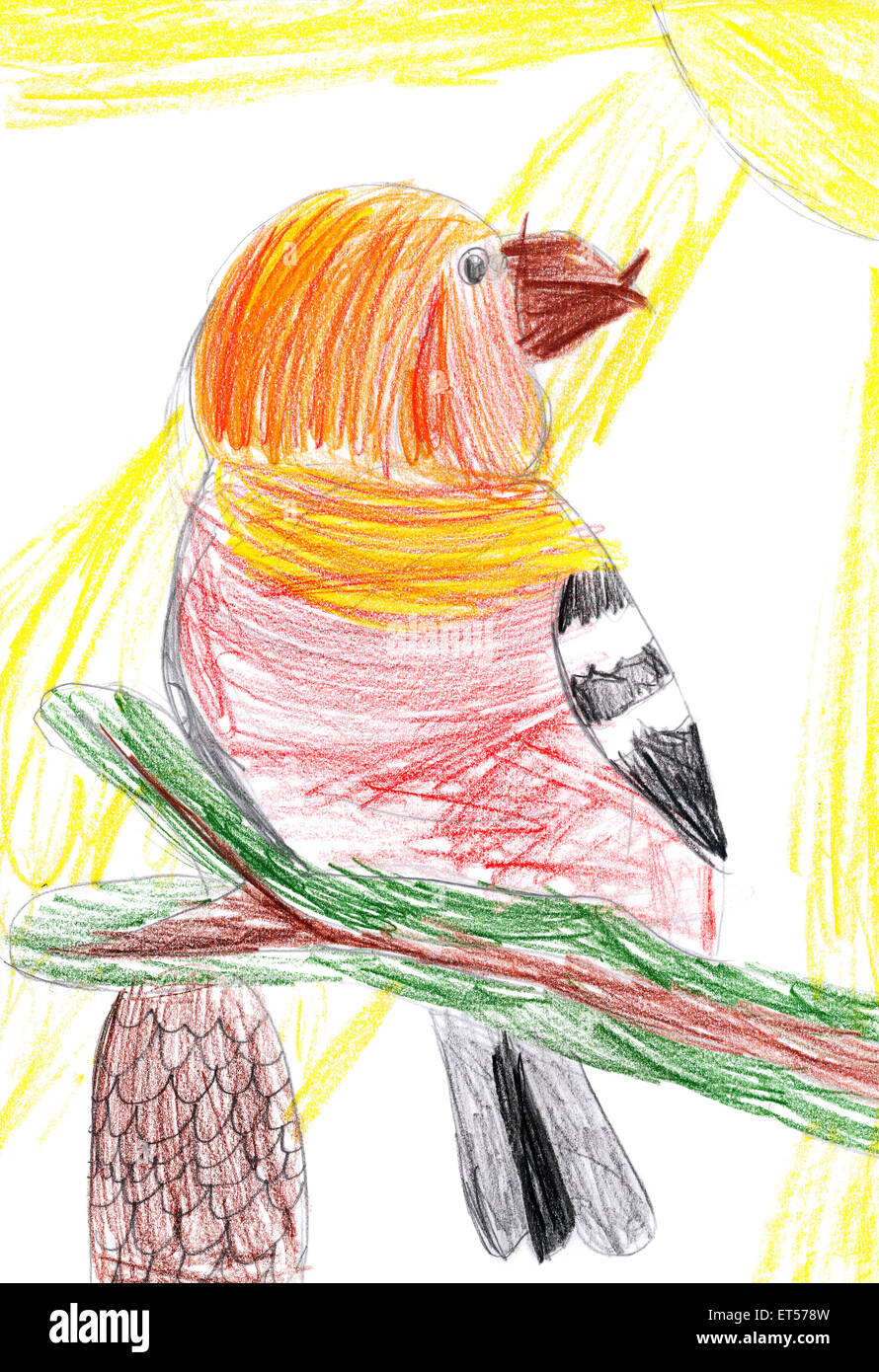bird on branch. child drawing Stock Photo - Alamy