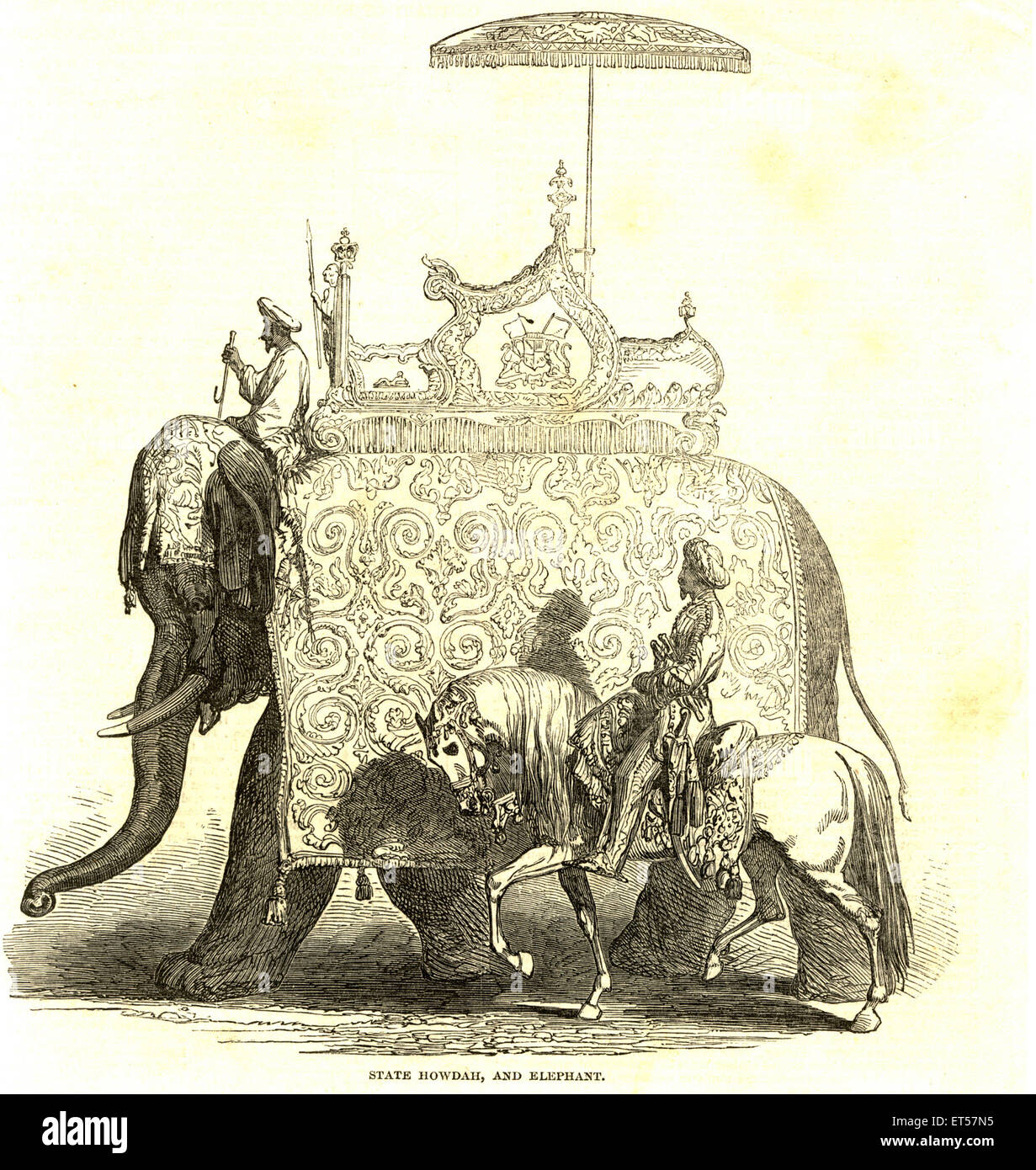 Elephant and howdah hi-res stock photography and images - Alamy