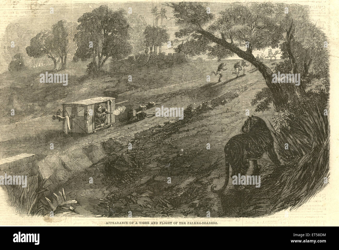 Hunting and animal views ; perils of dark travelling ; appearance tiger ...