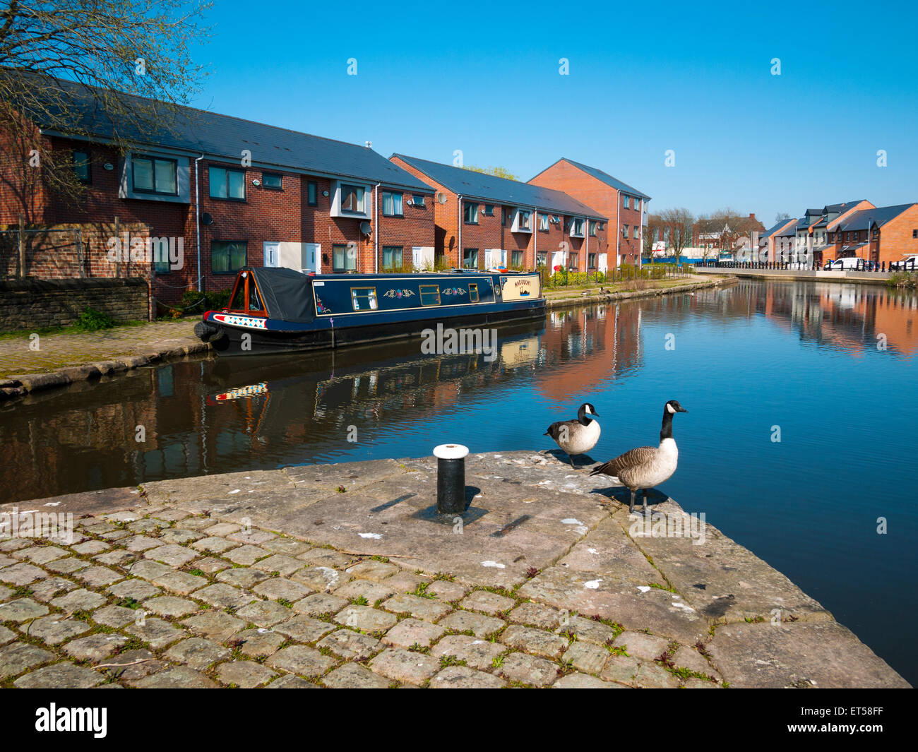 Canalside homes and a narrowboat reflected in the Ashton Canal ...