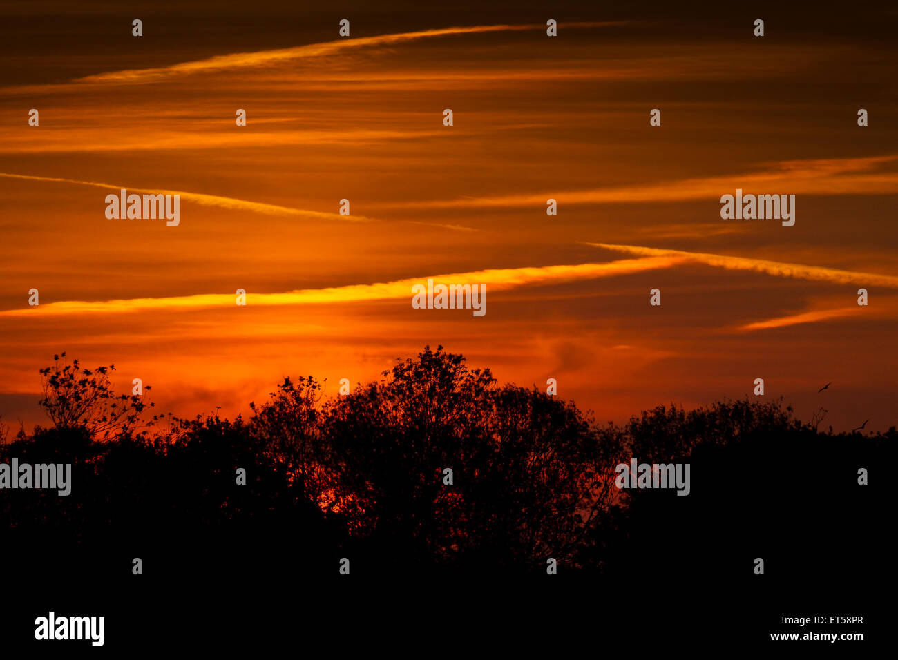 Deeping lakes hi-res stock photography and images - Alamy