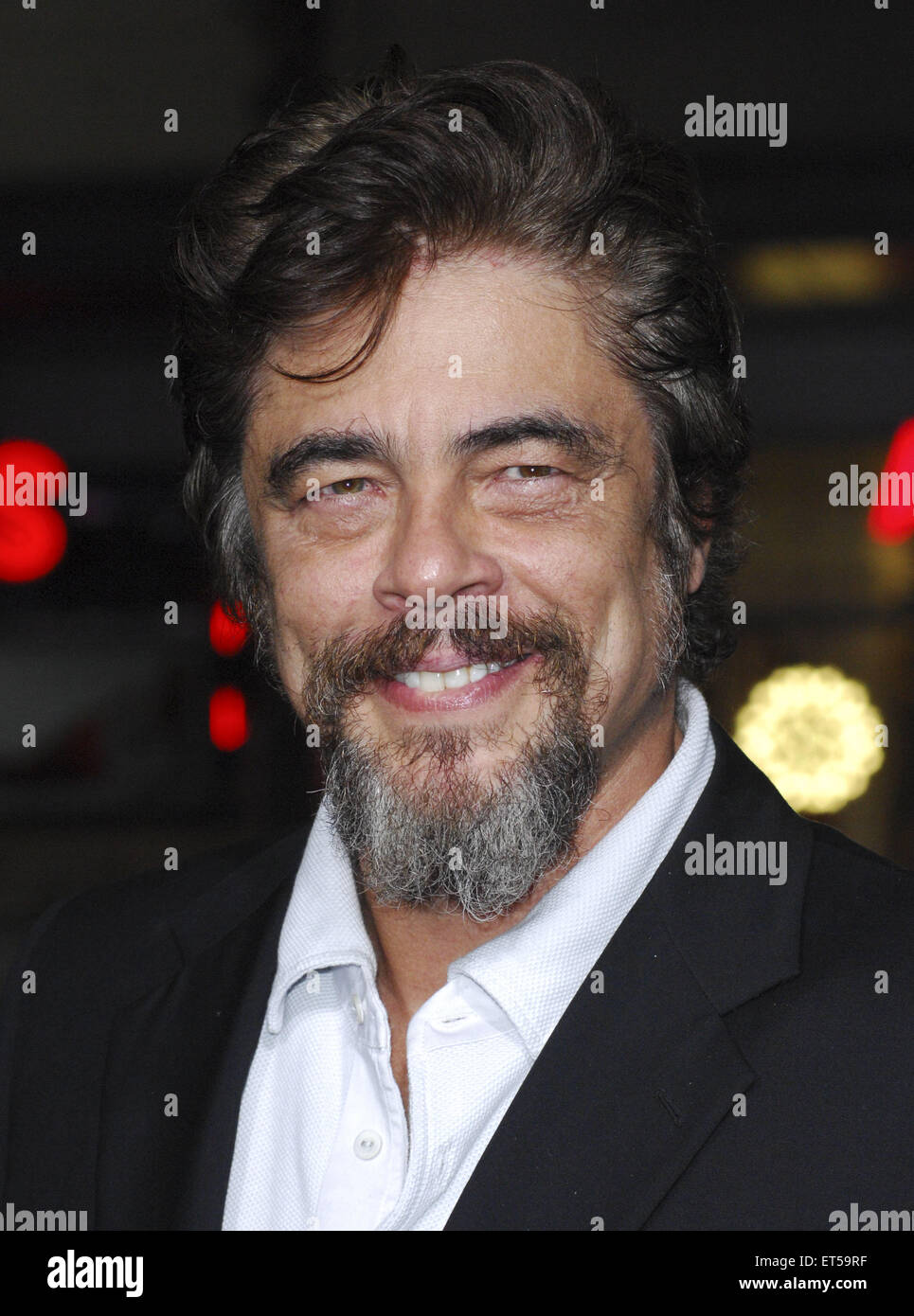 Los Angeles premiere of 'Inherent Vice' at TCL Chinese Theatre ...