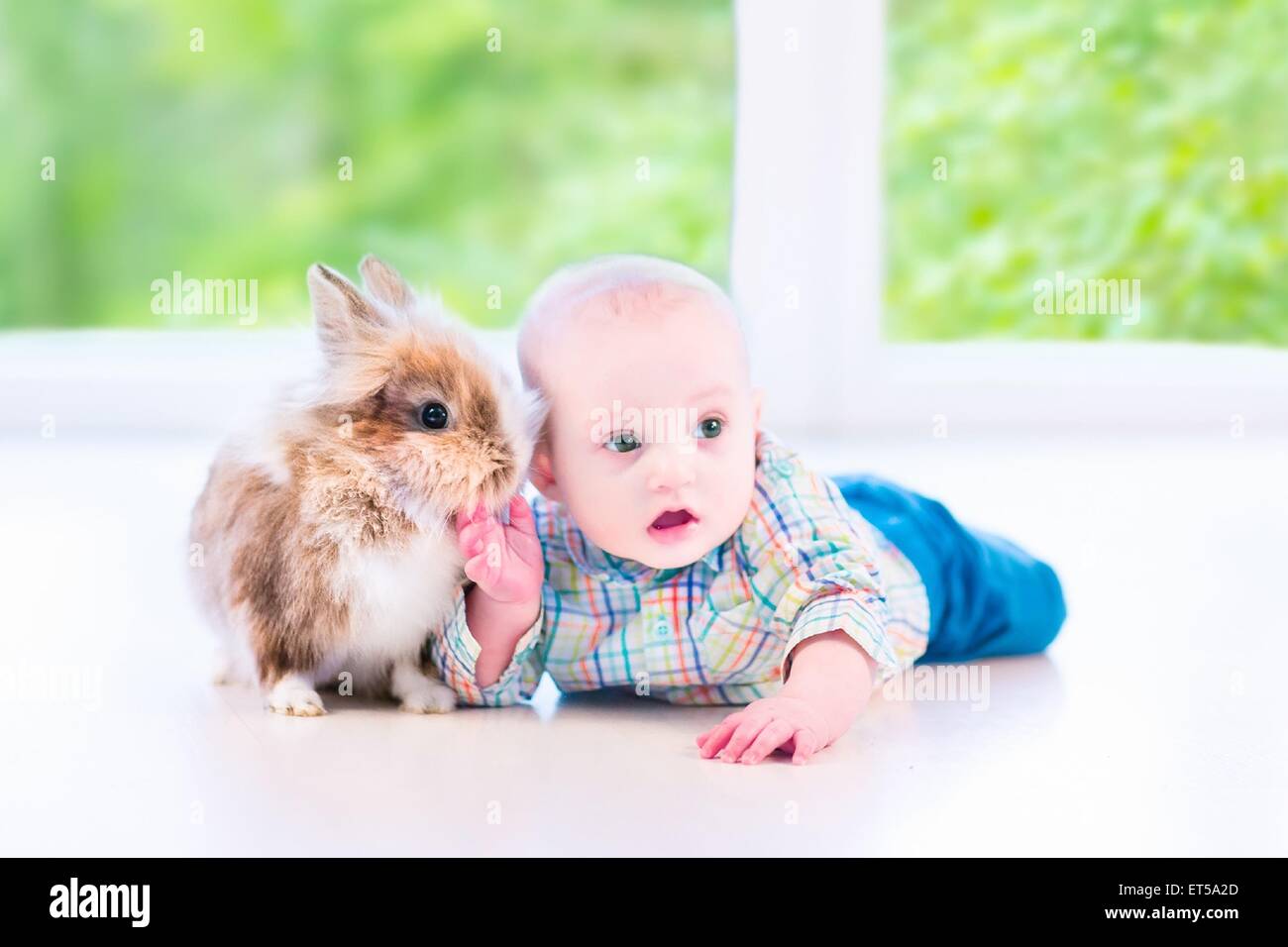 Adorable little baby playing with a funny real bunny on the floor in a ...