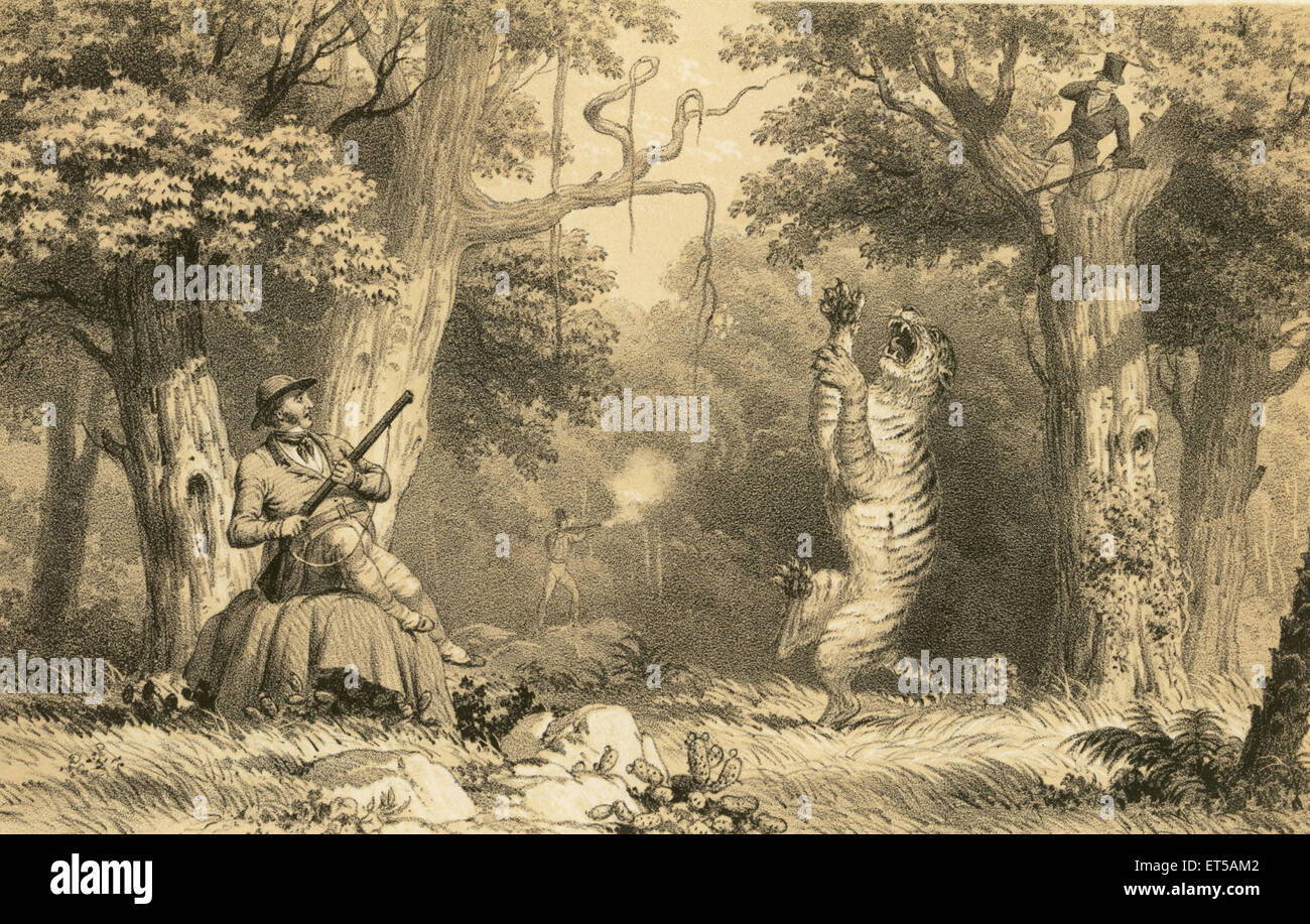 Hunt tiger vintage hi-res stock photography and images - Alamy