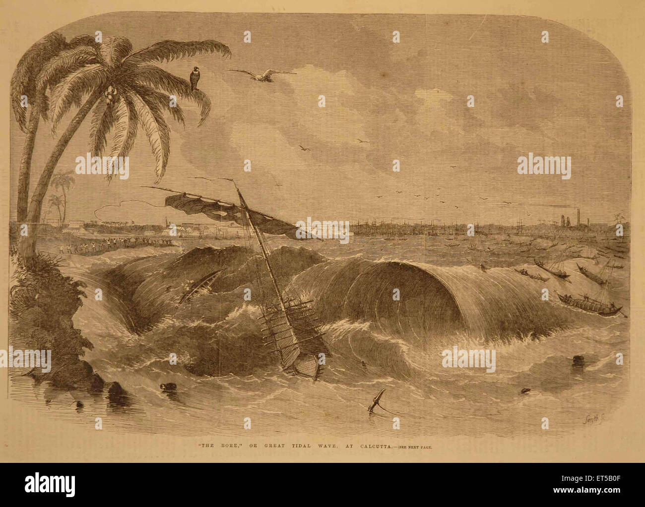 Tsunami drawing hi-res stock photography and images - Alamy