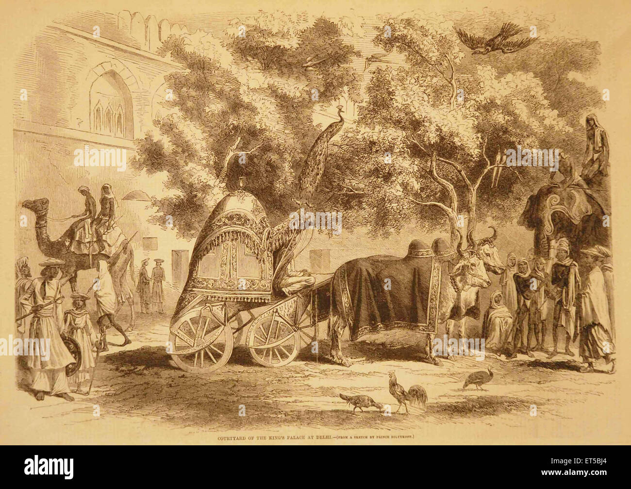 Lithographs Courtyard of the King's Palace at Delhi ; India Stock Photo ...