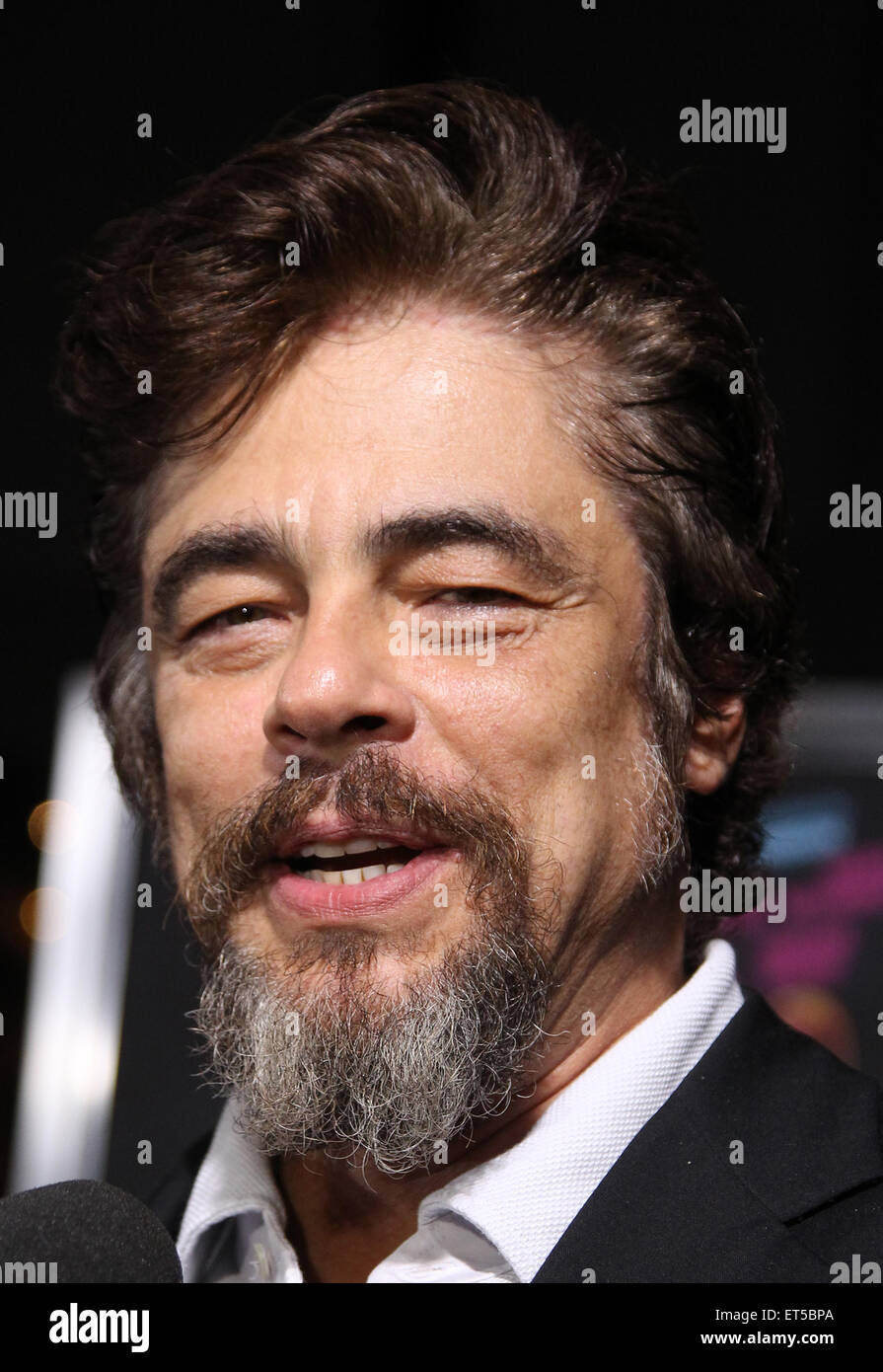 Los Angeles premiere of 'Inherent Vice' at TCL Chinese Theatre ...