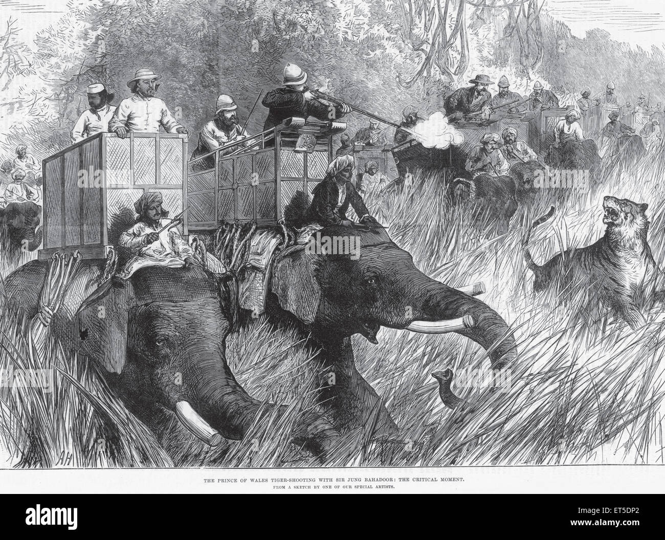 Royalty on Tour Prince of Wales tiger shooting with Sir Jung Bahadoor ...