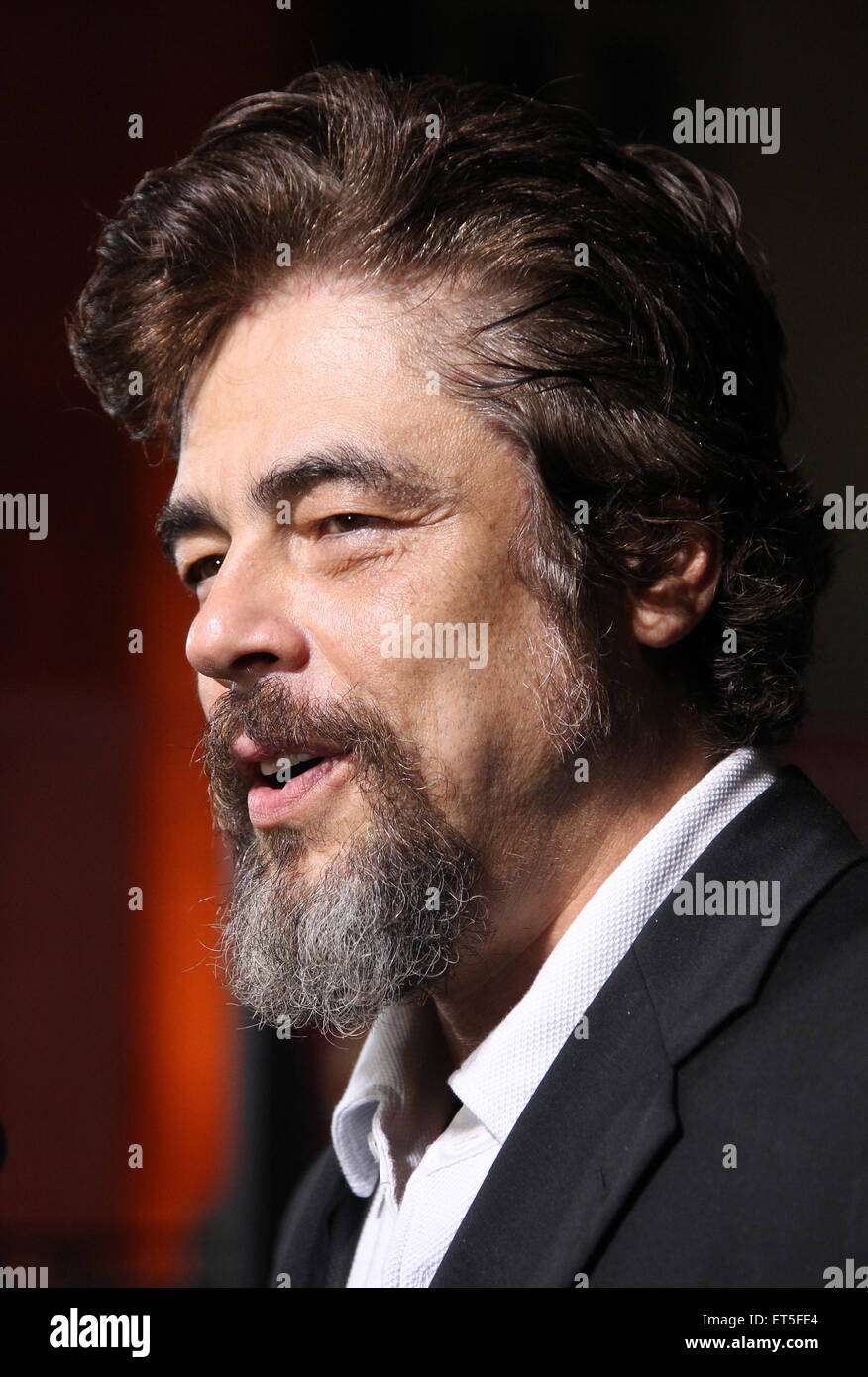 Los Angeles premiere of 'Inherent Vice' - Arrivals Featuring: Benicio ...