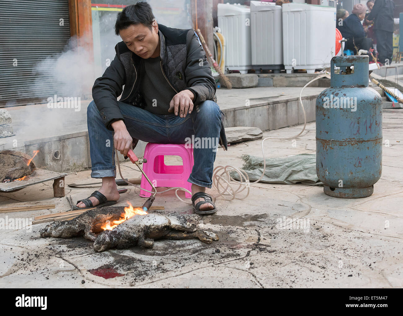 Dead rabbits hi-res stock photography and images - Alamy