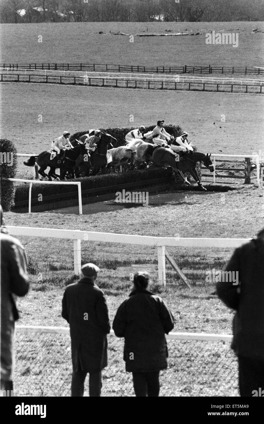 Hexham Racecourse High Resolution Stock Photography and Images - Alamy