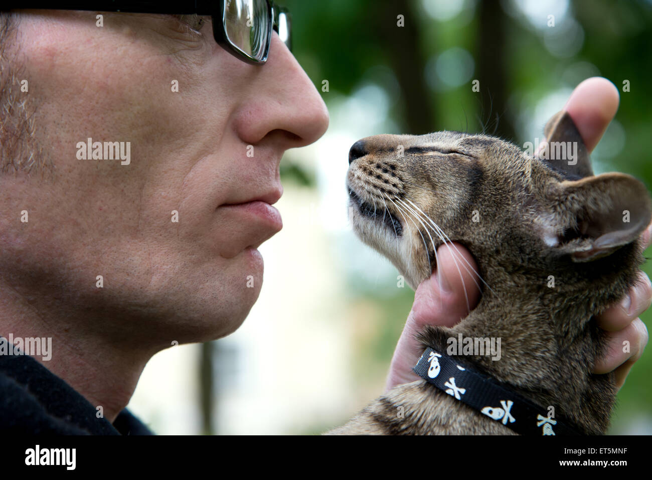closeup portrait man with his cat Stock Photo - Alamy