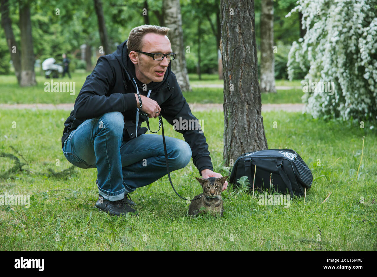 man playing the cat outdoor Stock Photo - Alamy