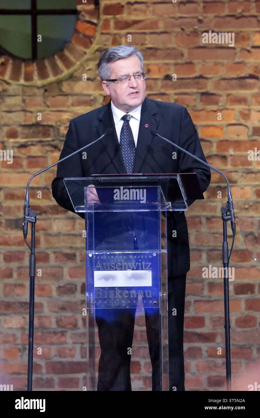70th Anniversary of the liberation of the nazi death camp Auschwitz ...