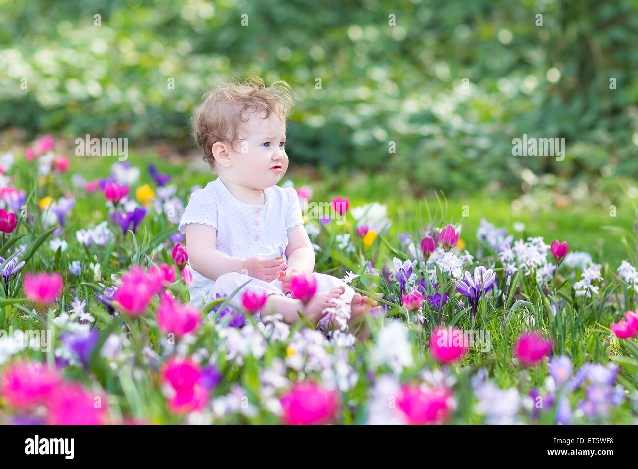 Cute smiling baby playing with first spring flowers Stock Photo - Alamy