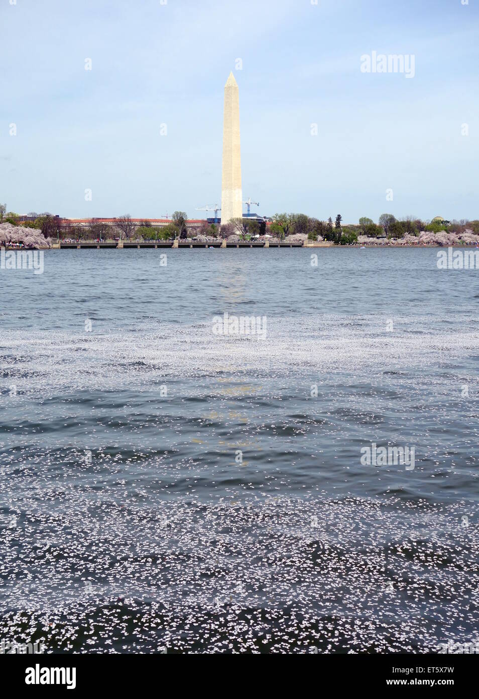 Dc water hi-res stock photography and images - Alamy