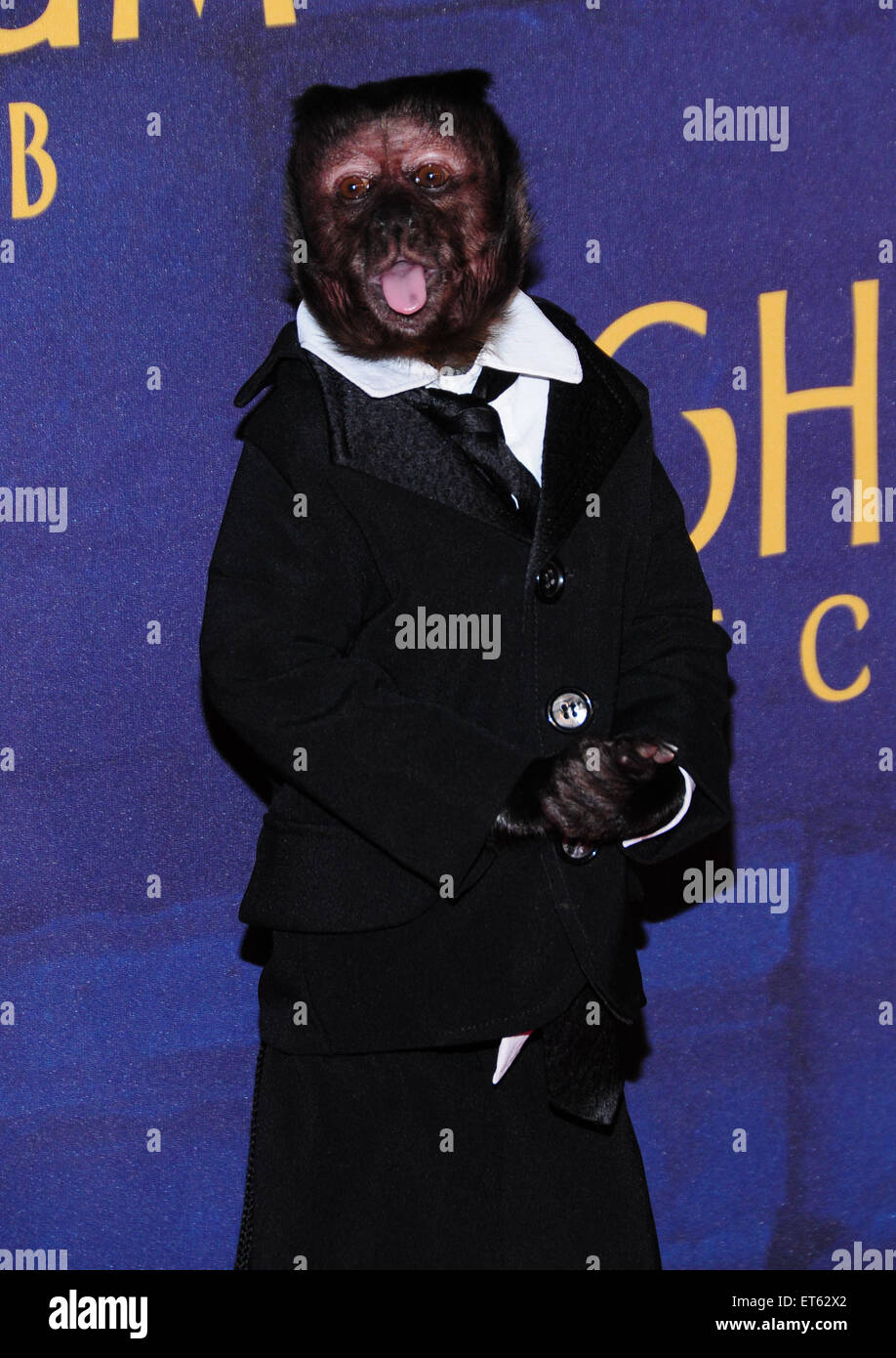 Monkey Night At The Museum High Resolution Stock Photography and Images ...