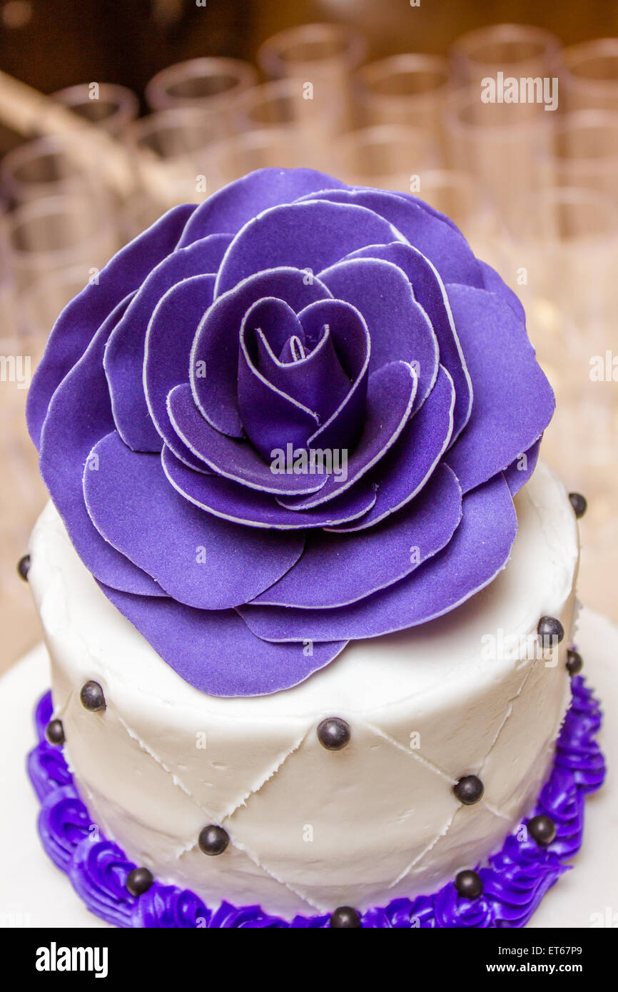 Huge Purple Birthday Cake