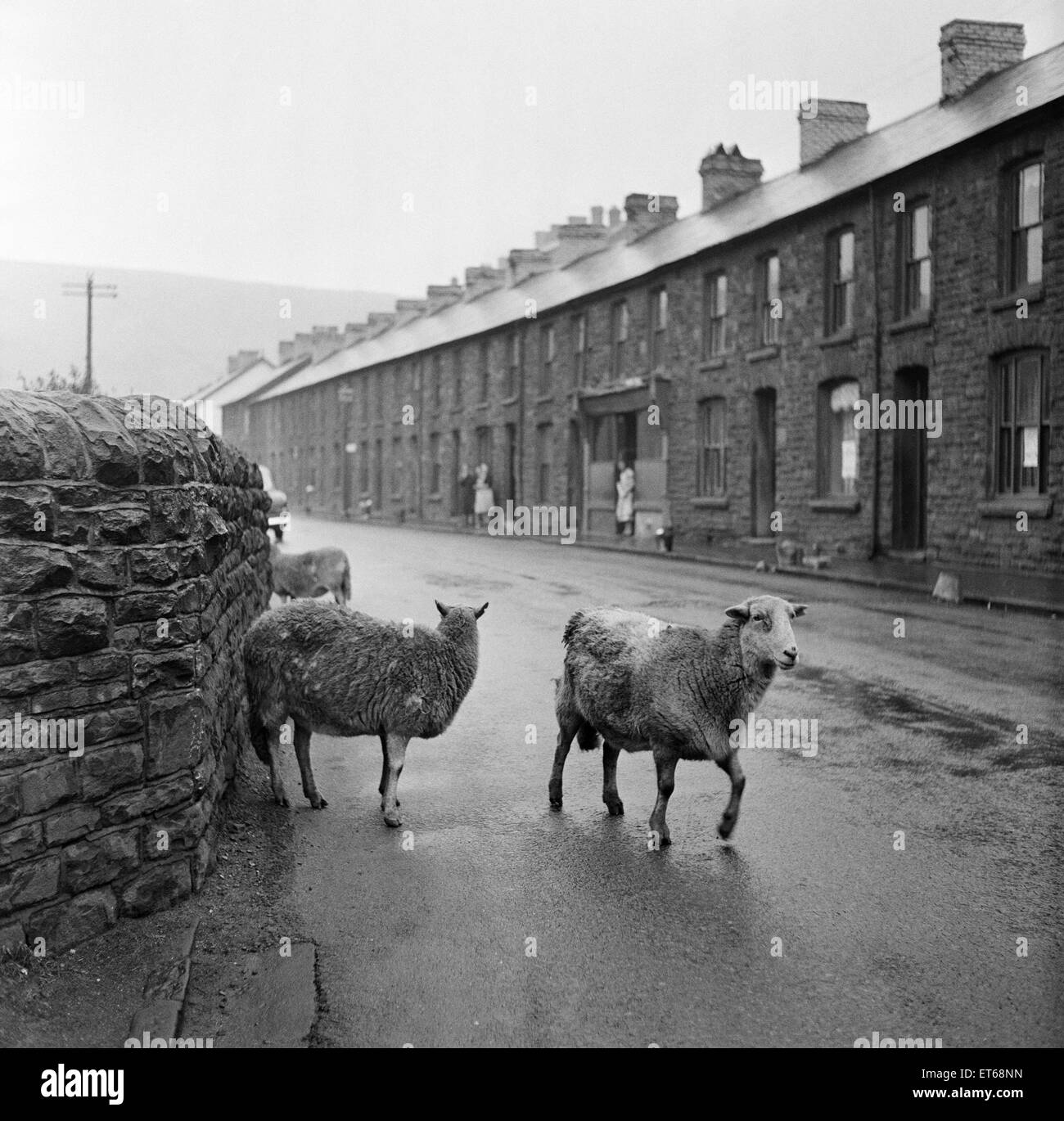 Scenes in Wattstown, South Wales. Located in the Rhondda Valley in the ...