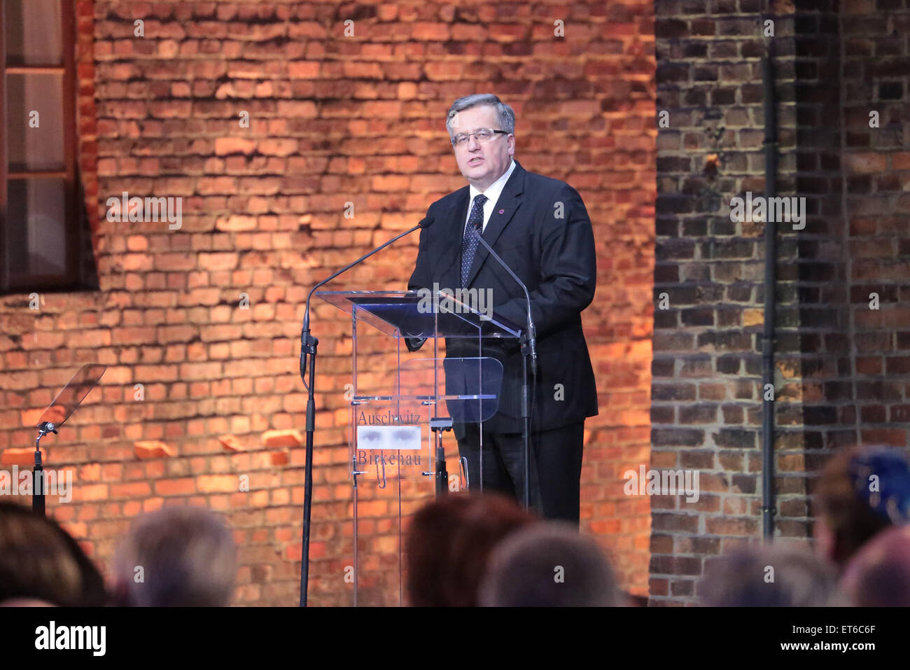 70th Anniversary of the liberation of the nazi death camp Auschwitz ...