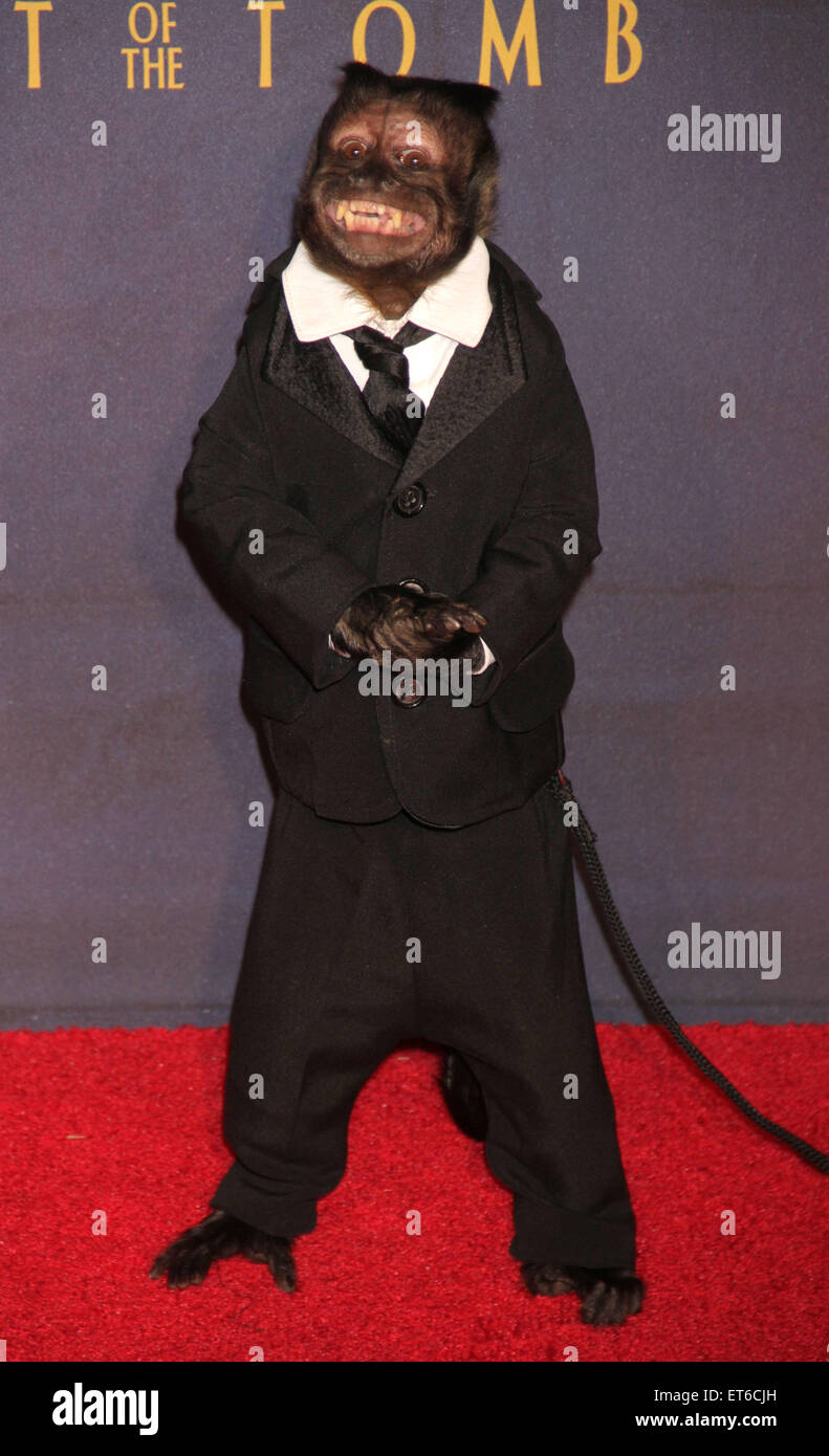 Crystal the monkey night at the museum hi-res stock photography and ...