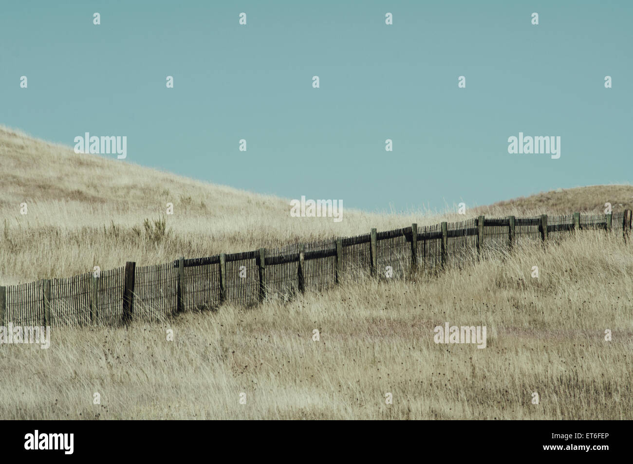 A fence cutting through the prairie Stock Photo - Alamy