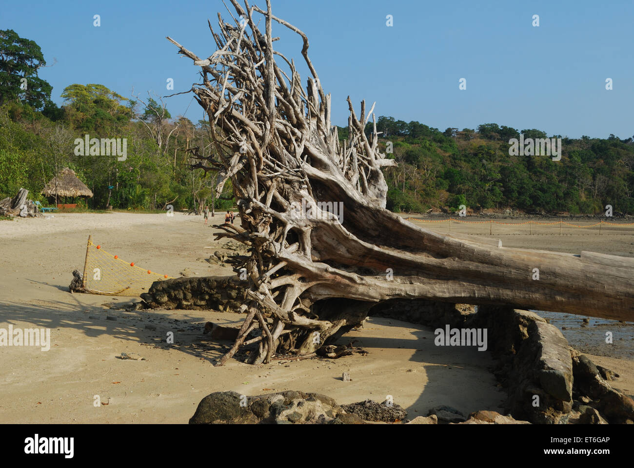 India andaman islands hi-res stock photography and images - Alamy
