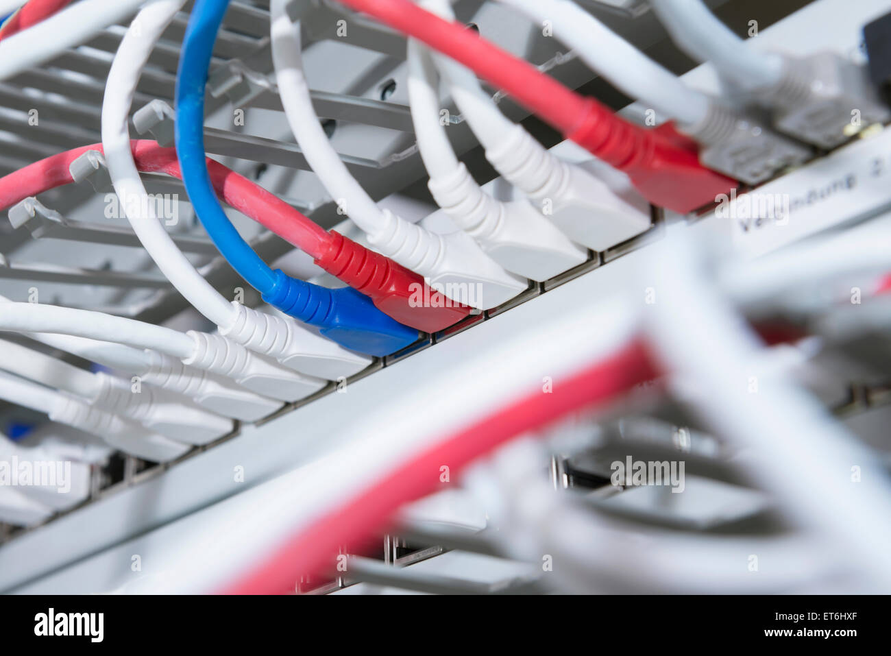 Ethernet lan cables connected to networking router, Munich, Bavaria ...