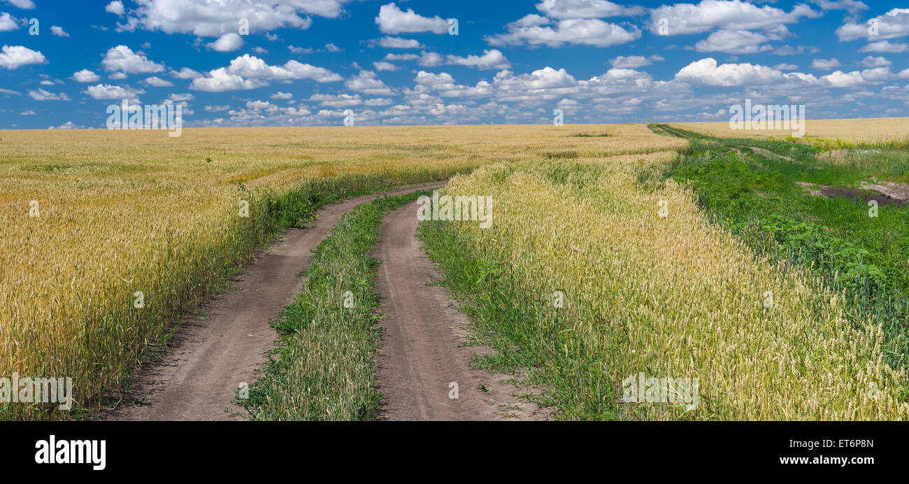 Ukrainian rural landscape wheat field hi-res stock photography and ...