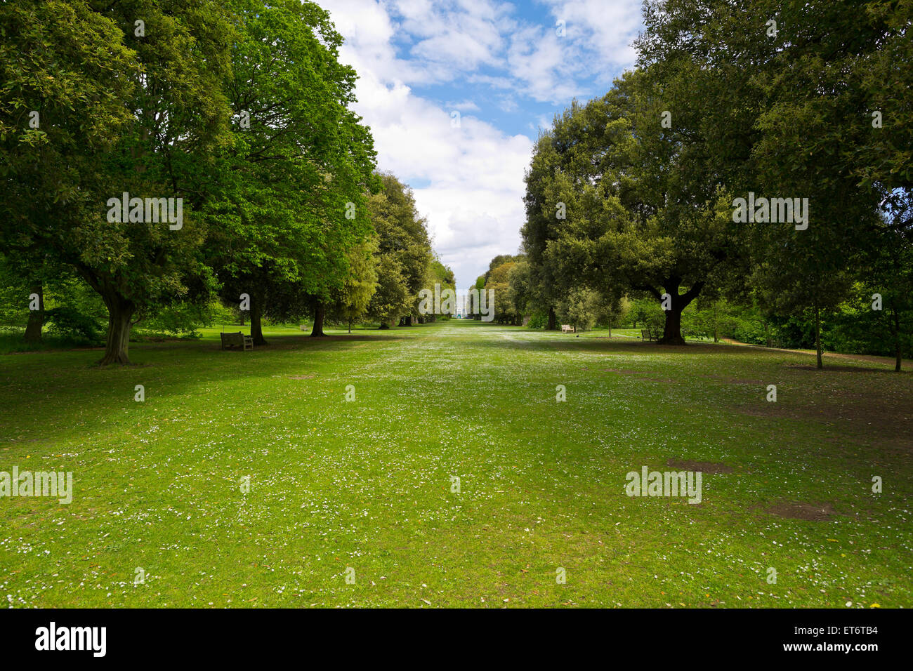 Kew royal botanical gardens, tree alley leading to the Palm House ...