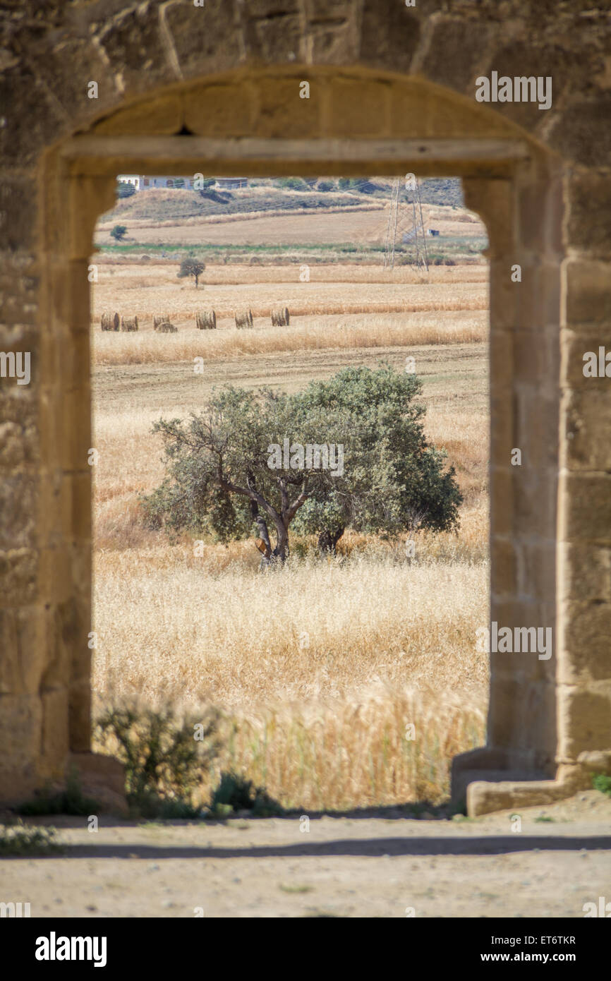 View through door of Saint Mamas Gothic Church ruins at the deserted village of Ayios Sozomenos ...