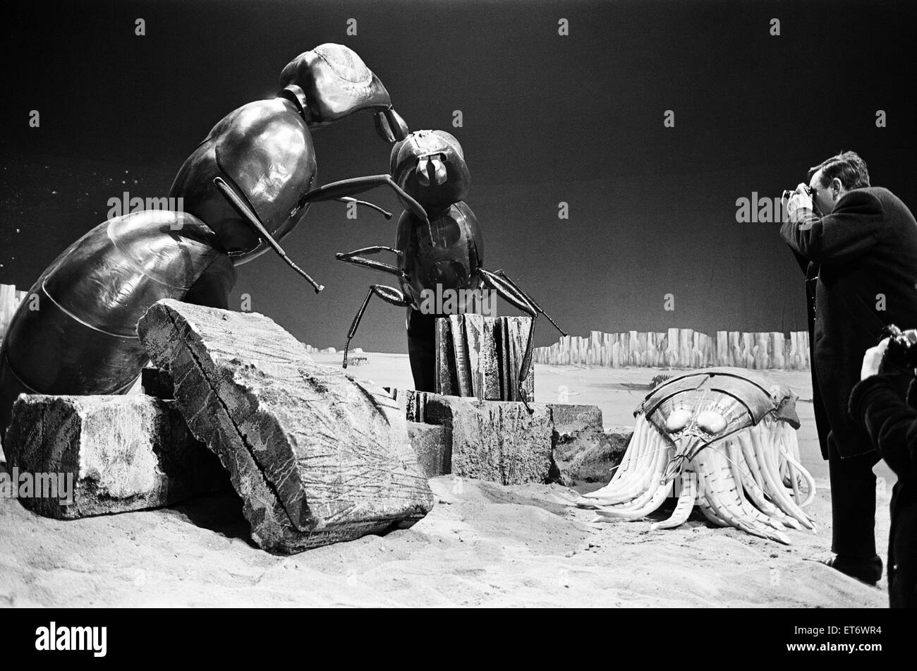 The Dr Who television serial written by Bill Struttonwill, 'The Web ...