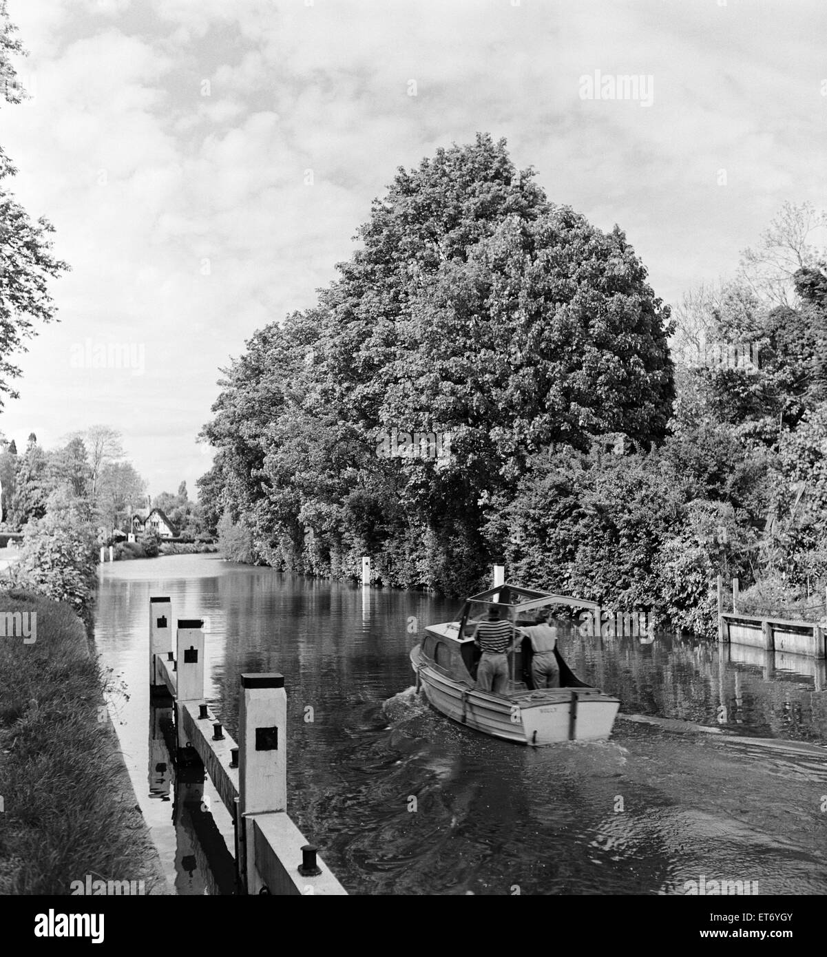 River scenes in Maidenhead, Berkshire. June 1954 Stock Photo - Alamy