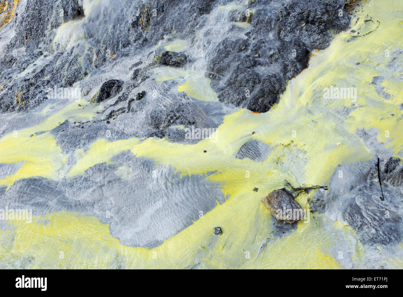Volcanic activity, Pohutu Geyser, Rotorua, New Zealand Stock Photo - Alamy