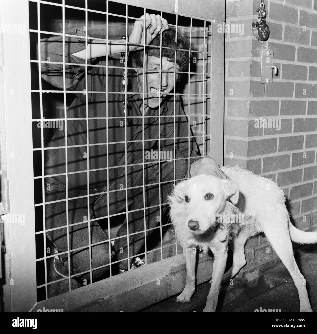 David De Val, Escapologist, 1st September 1983 Stock Photo - Alamy