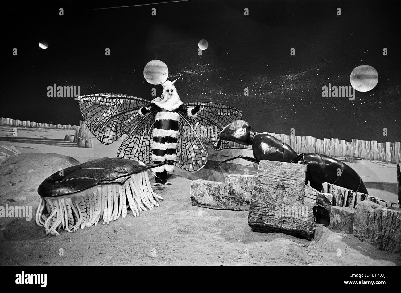 The Dr Who television serial written by Bill Struttonwill, 'The Web ...