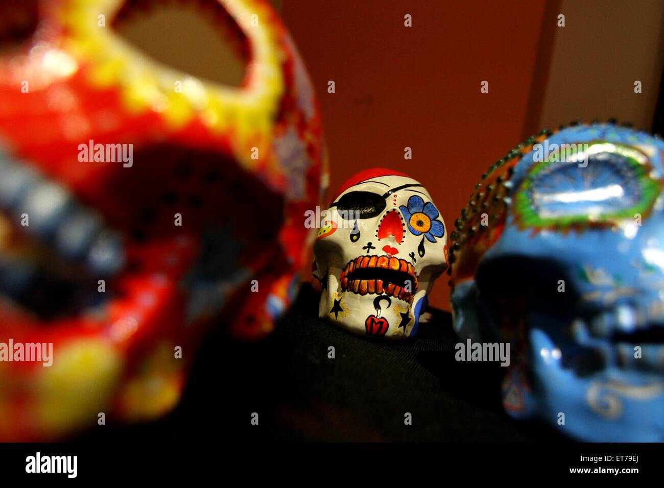 Handmade and painted skulls go on display at a unique skull exhibition ...