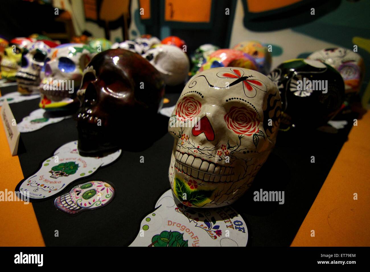 Handmade and painted skulls go on display at a unique skull exhibition ...