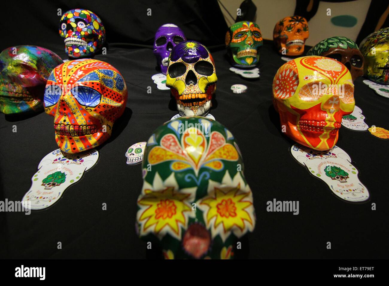 Handmade and painted skulls go on display at a unique skull exhibition ...
